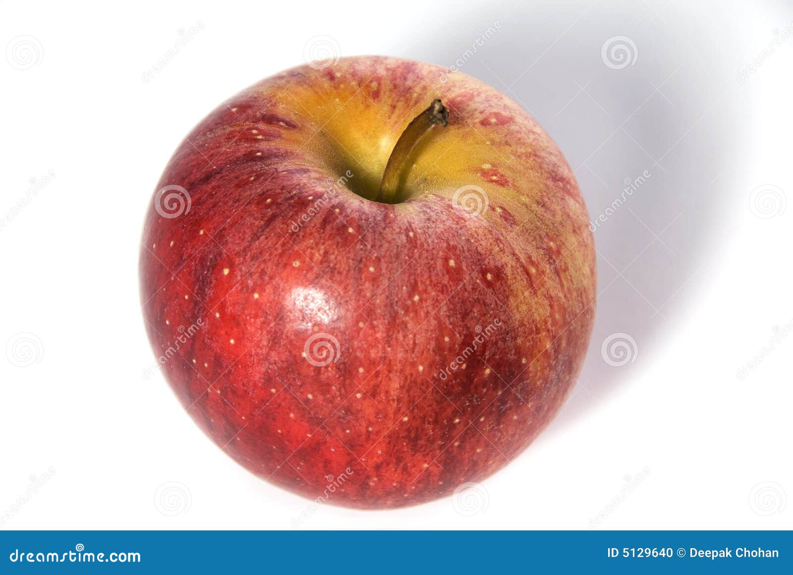 Apple_1 stock photo. Image of healthy, skin, round, cider - 5129640