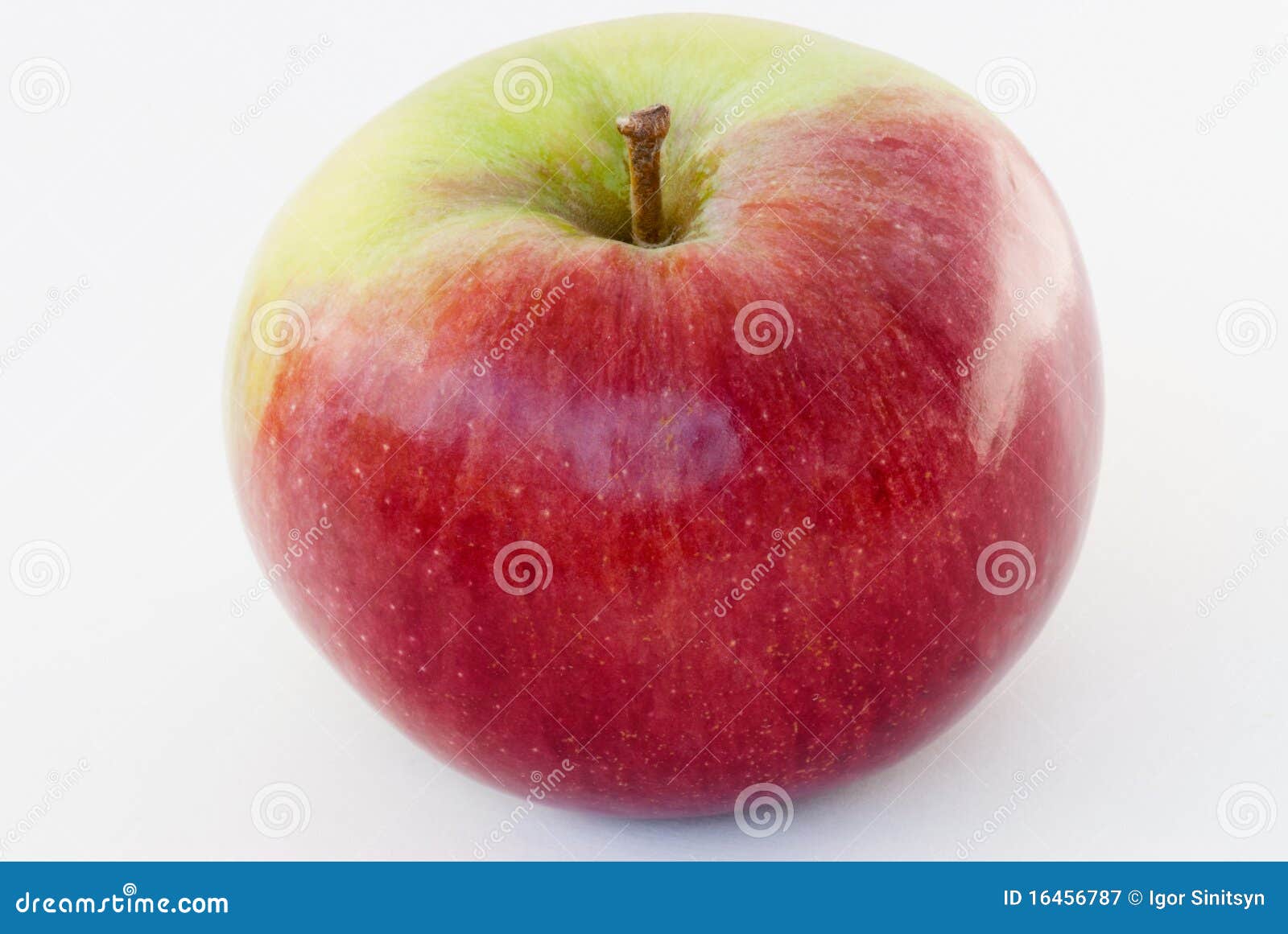 Apple stock image. Image of apple, ripe, shadow, fruit - 16456787
