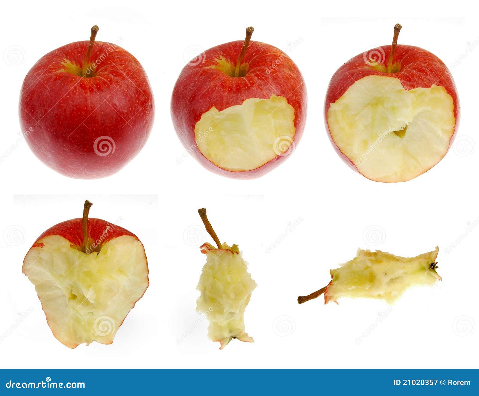 Apple stock image. Image of isolated, collection, nutrition - 21020357
