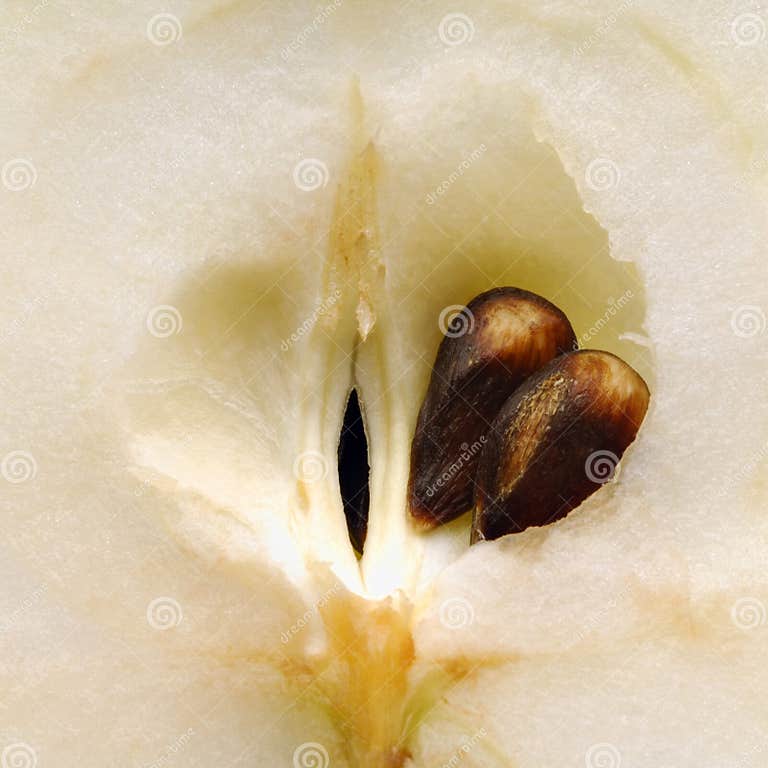 Apple stock image. Image of pair, fresh, organic, health - 518613