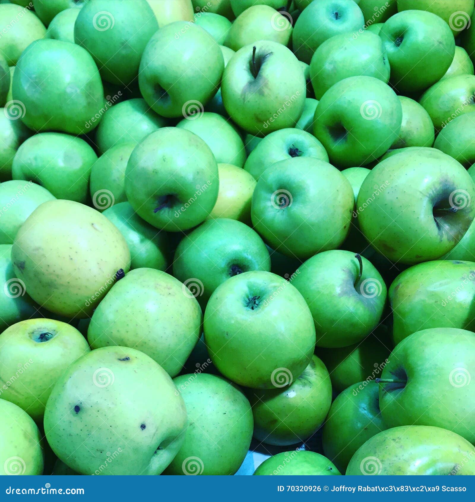Apple photo stock. Image du vert, nature, pomme, nourriture - 70320926