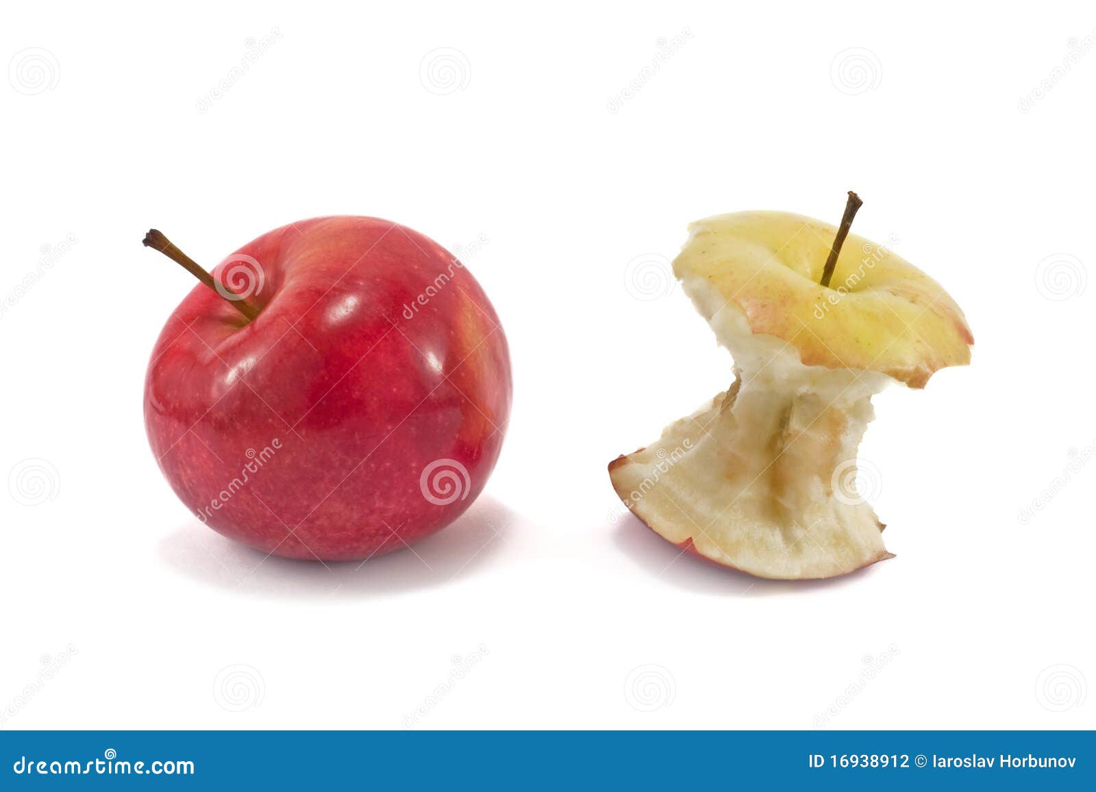 Apple and the apple core stock photo. Image of natural - 16938912
