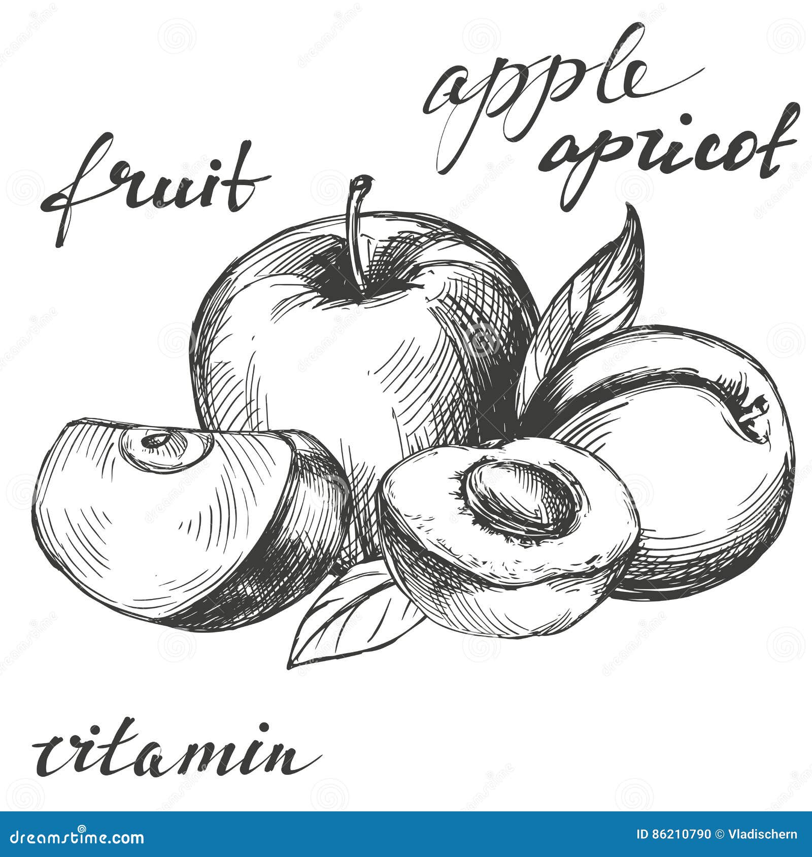 Fruit Group Stock Illustrations – 74,502 Fruit Group Stock ...