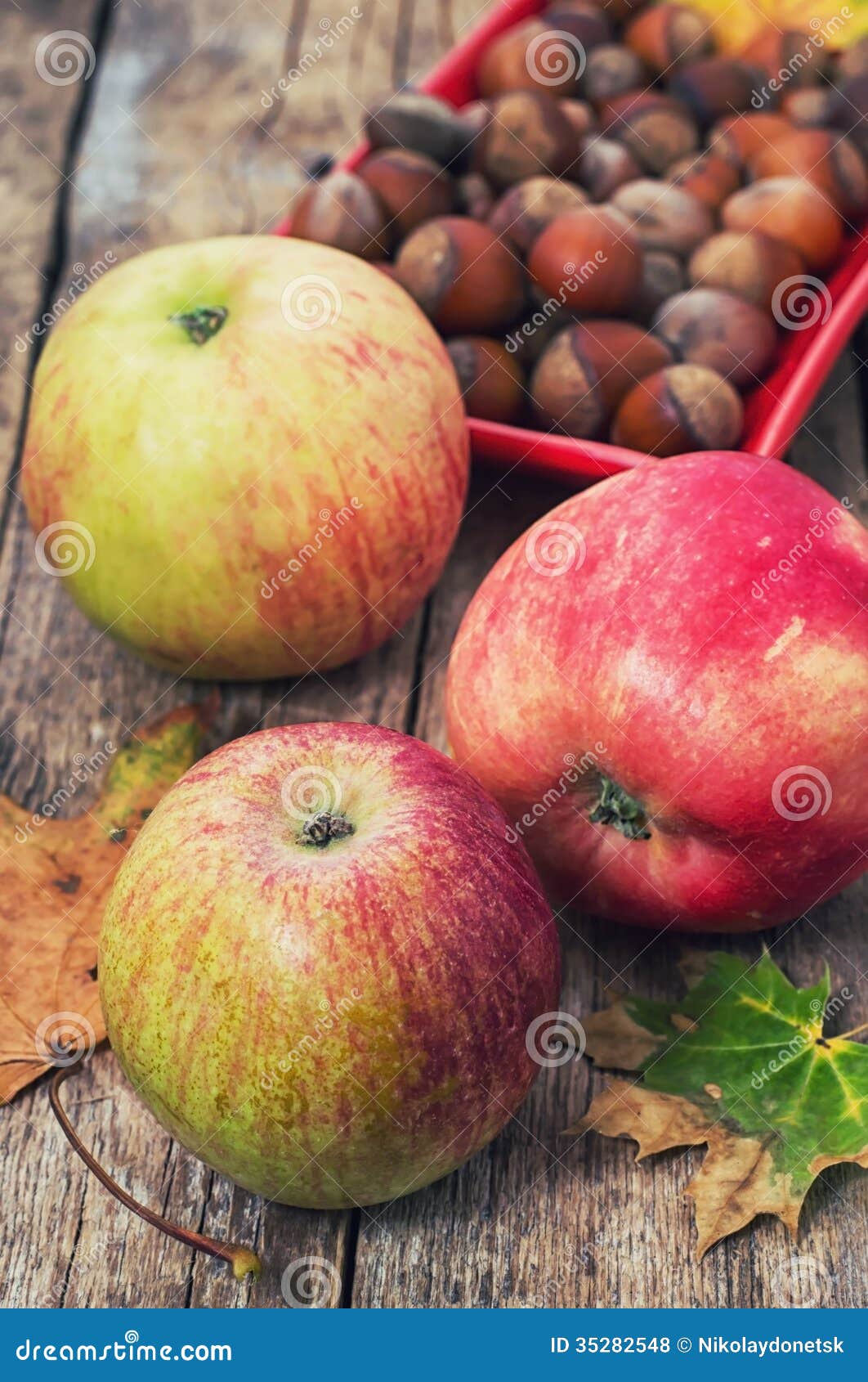 Apple autumn harvest stock photo. Image of association - 35282548