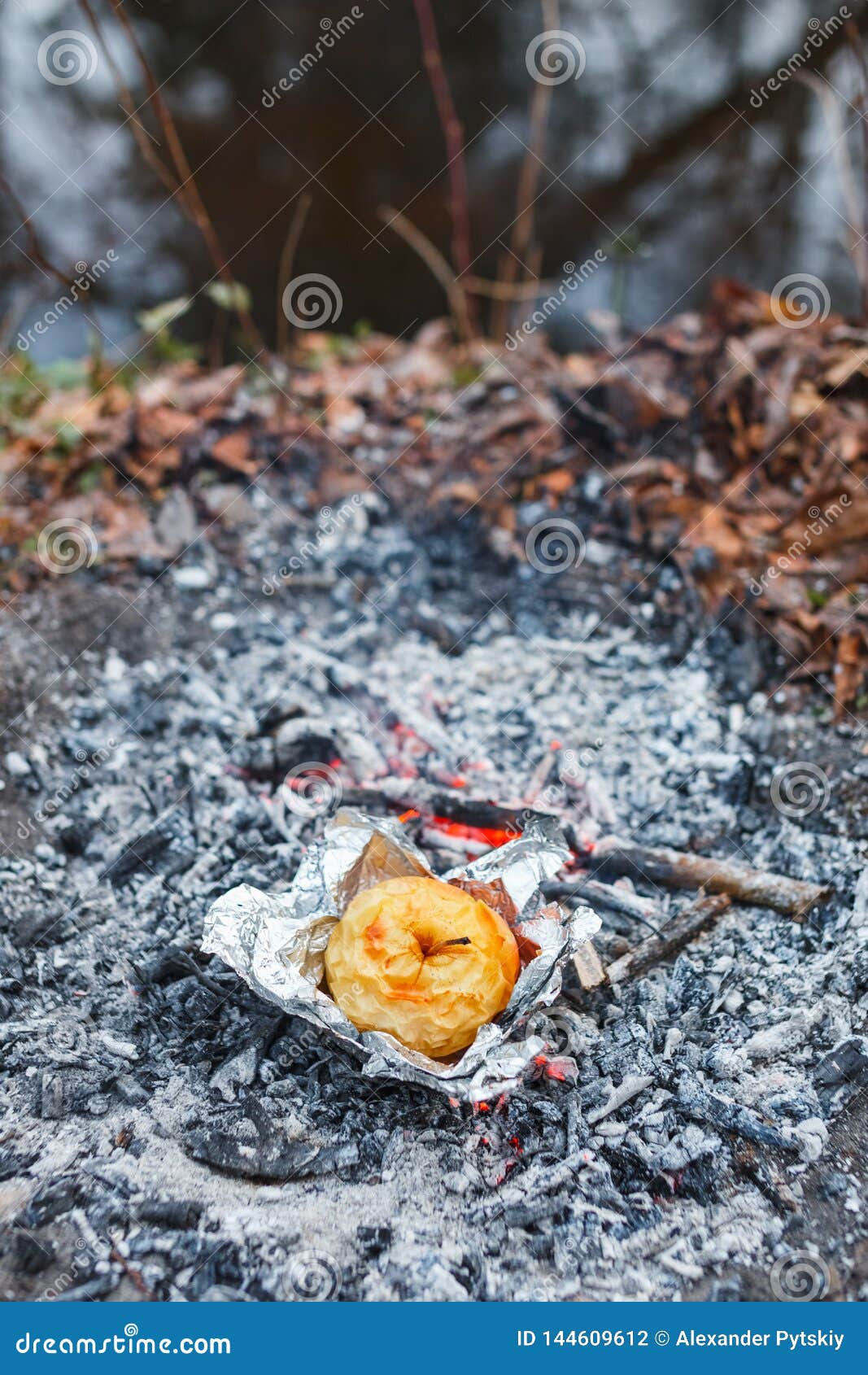Apple Baked on Coals in the Evening Stock Photo - Image of flame, bake ...