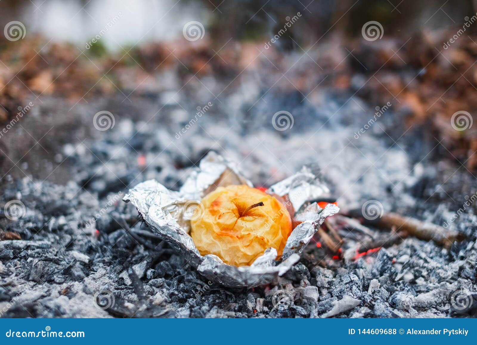 Apple Baked on Coals in the Evening Stock Photo - Image of bake ...