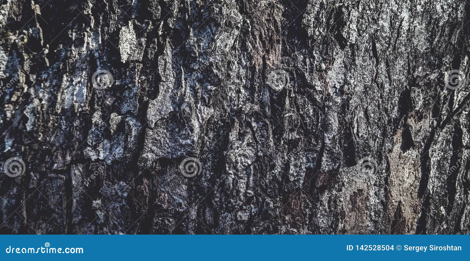 Red Apple On The Bark Of A Tree Stock Photo | CartoonDealer.com #203984514