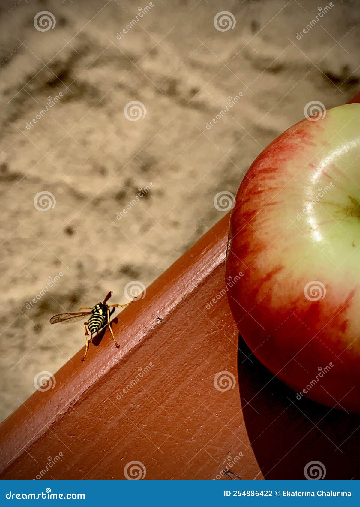 Apple and Bee in My Garden. Stock Photo - Image of hand, insect: 254886422