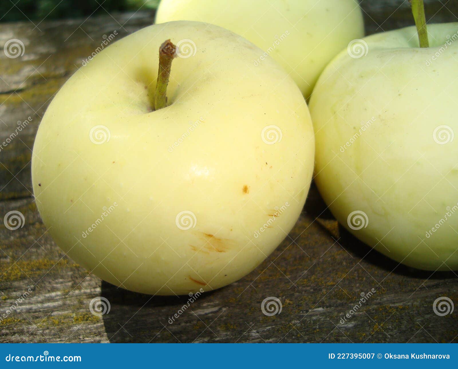 Apple on the Bench Close-up Stock Image - Image of tomato, bench: 227395007