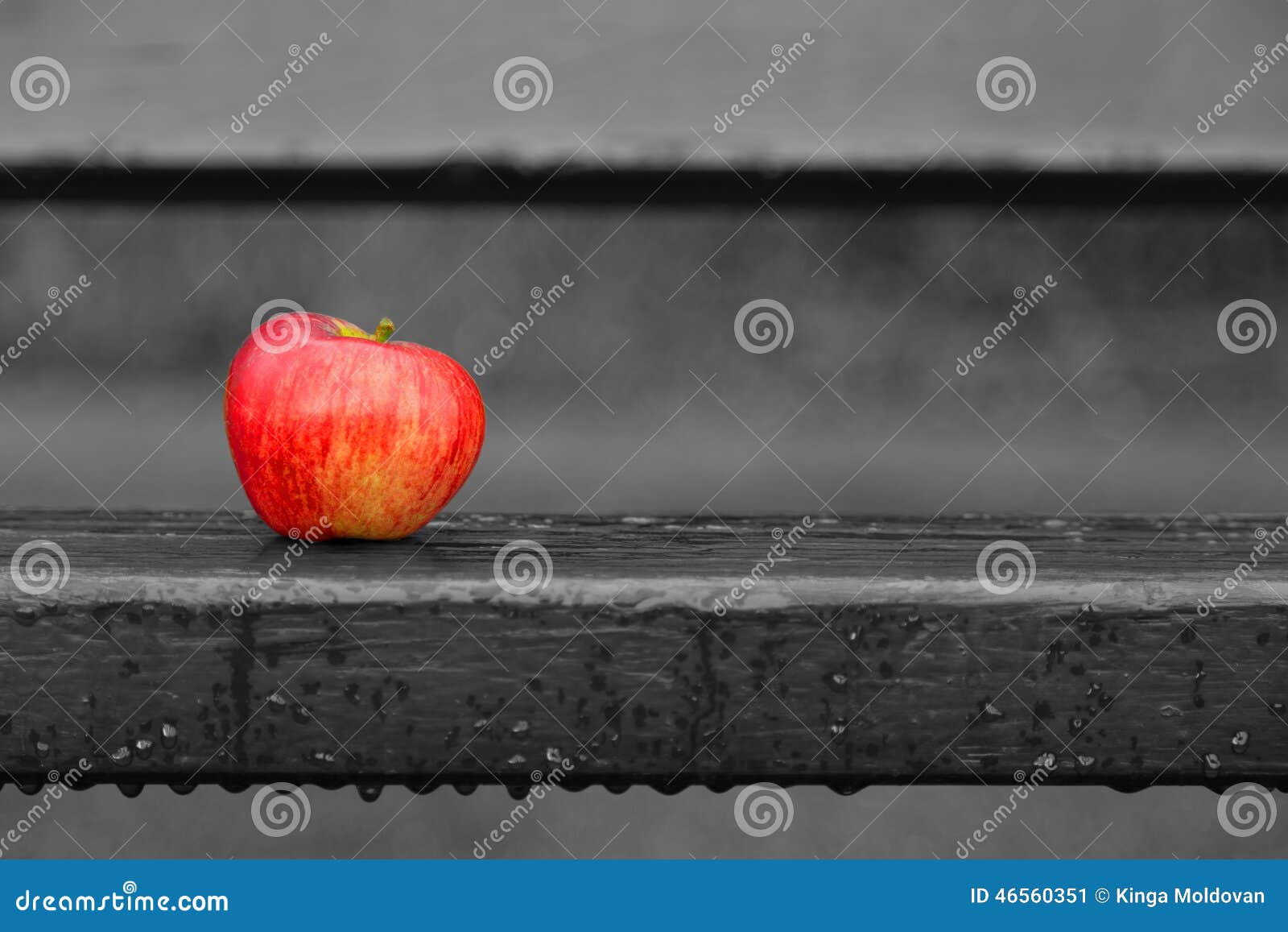 Apple on bench stock image. Image of natural, fruit, tasty - 46560351