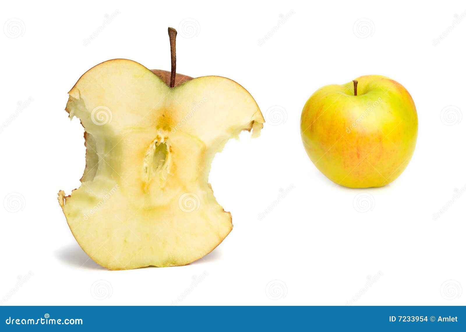 Apple bit and yellow apple stock photo. Image of apple - 7233954