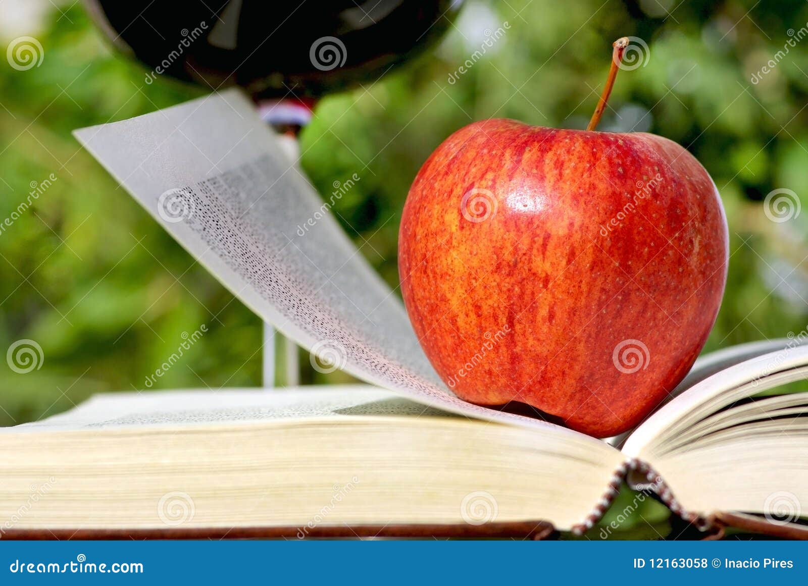 Apple on book. stock photo. Image of isolated, group - 12163058