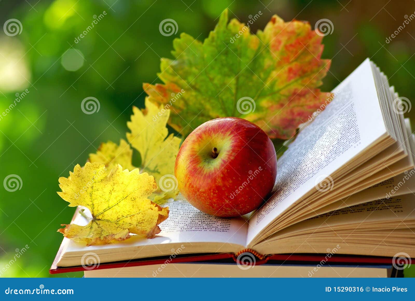 Apple on book. stock photo. Image of isolated, learning - 15290316