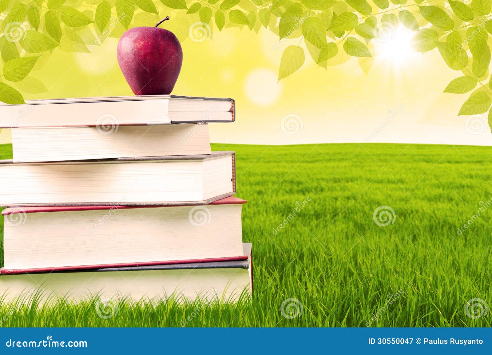 Apple and Book of Knowledge in the Park Stock Illustration ...