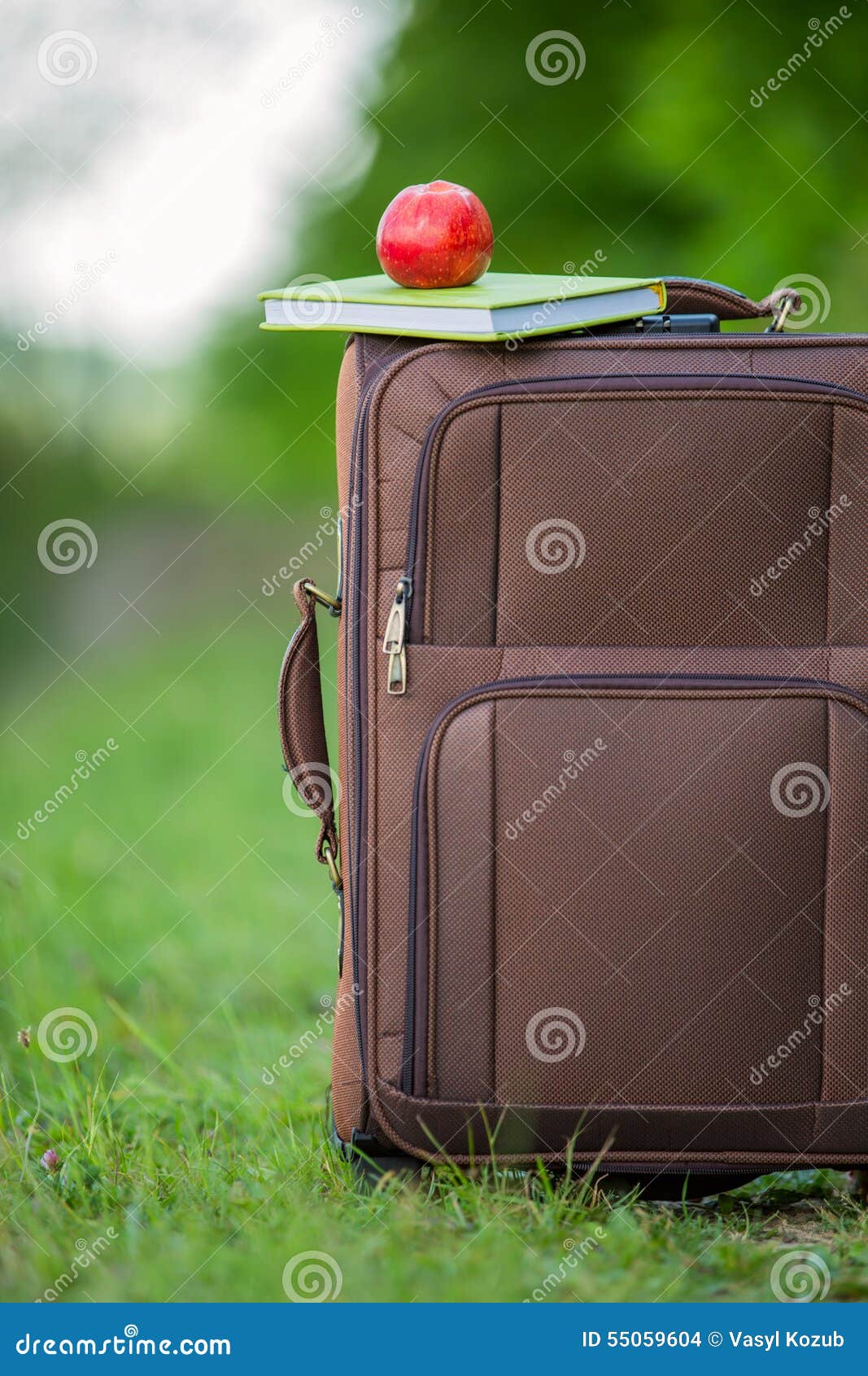 Apple with a book suitcase stock photo. Image of healthy - 55059604
