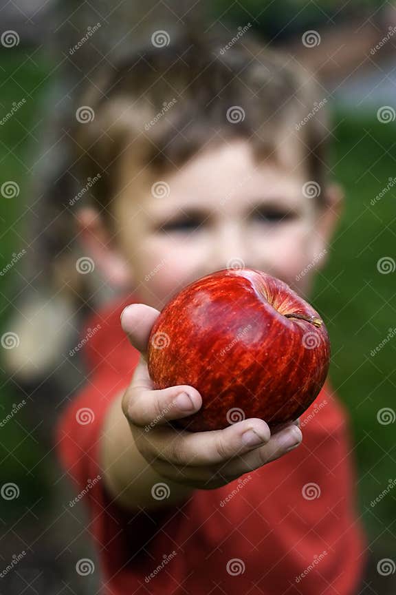 Apple boy stock image. Image of youth, child, tree, green - 4783719