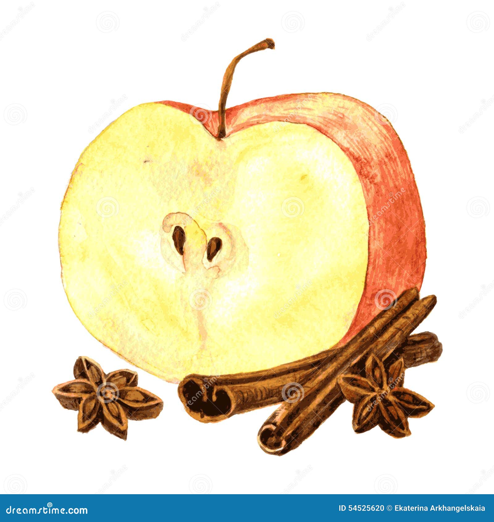 Apple, canela y anís ilustración del vector. Ilustración de fresco ...