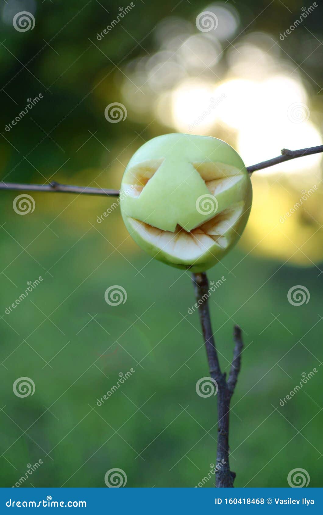 Apple with Carved for Halloween Scary Face Impaled on a Stick Stock ...