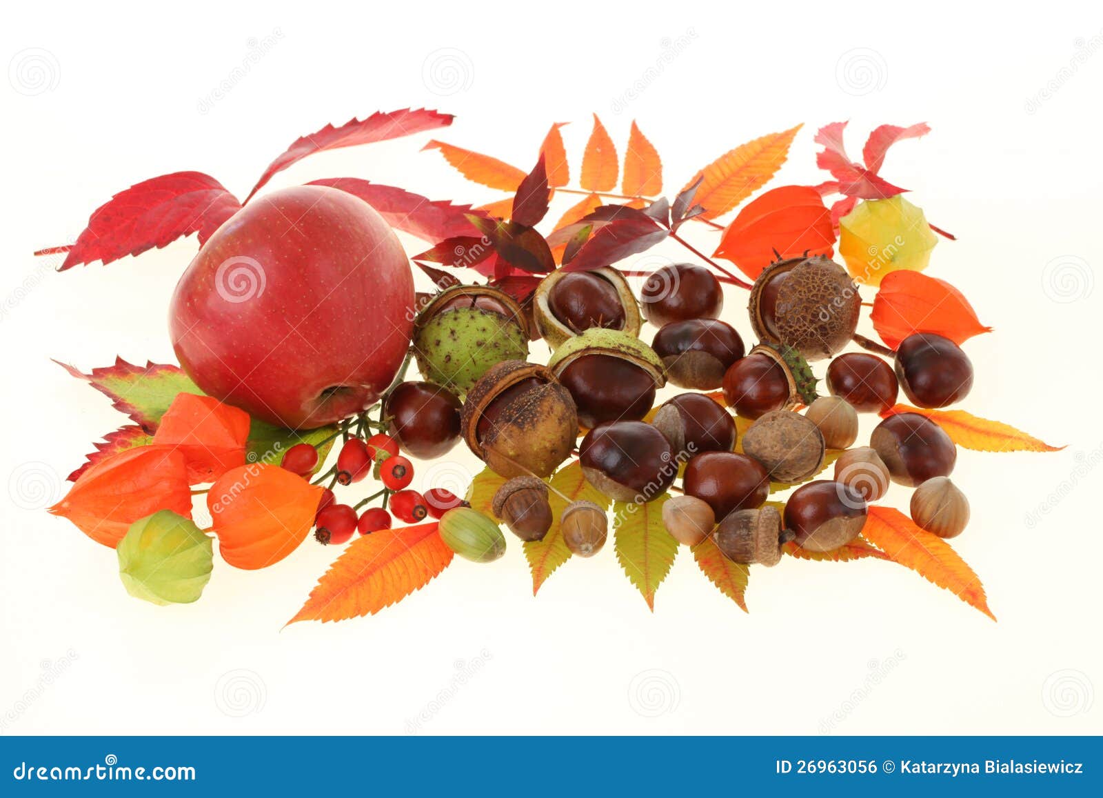 Apple and chestnuts stock photo. Image of brown, fruit - 26963056