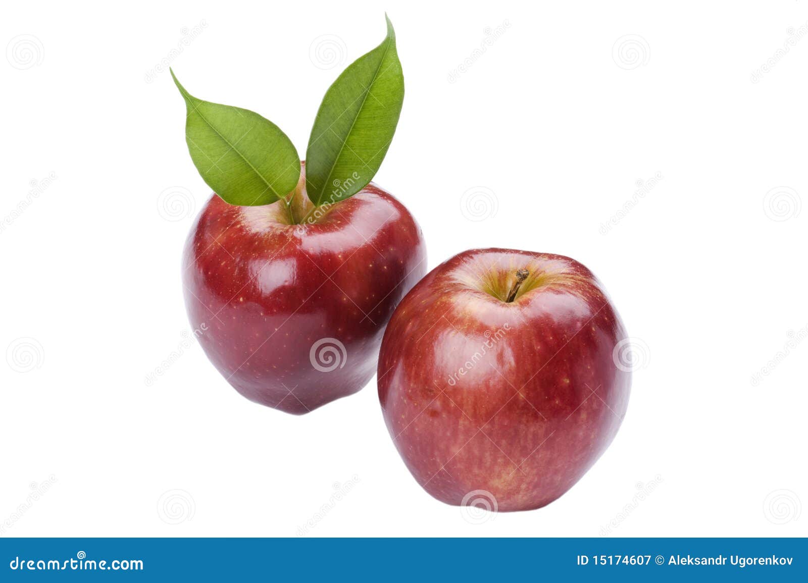 Apple close up stock image. Image of green, food, white - 15174607