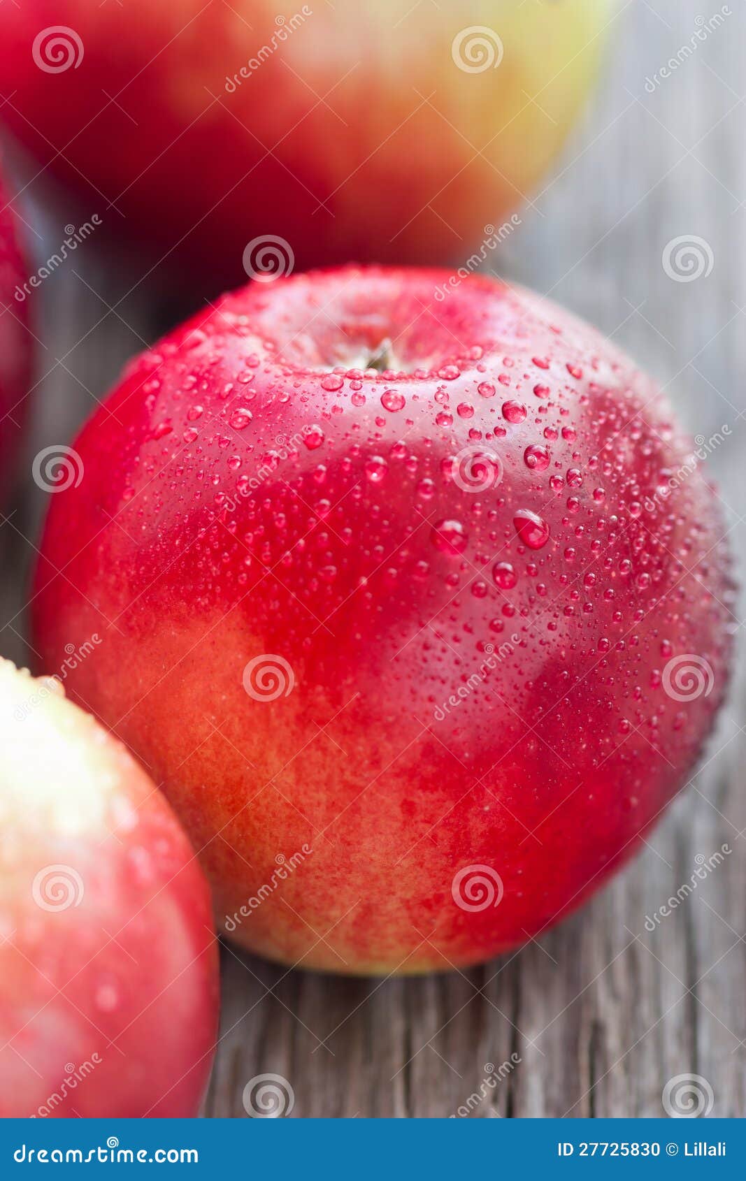 Apple close up. stock photo. Image of close, apple, dessert - 27725830