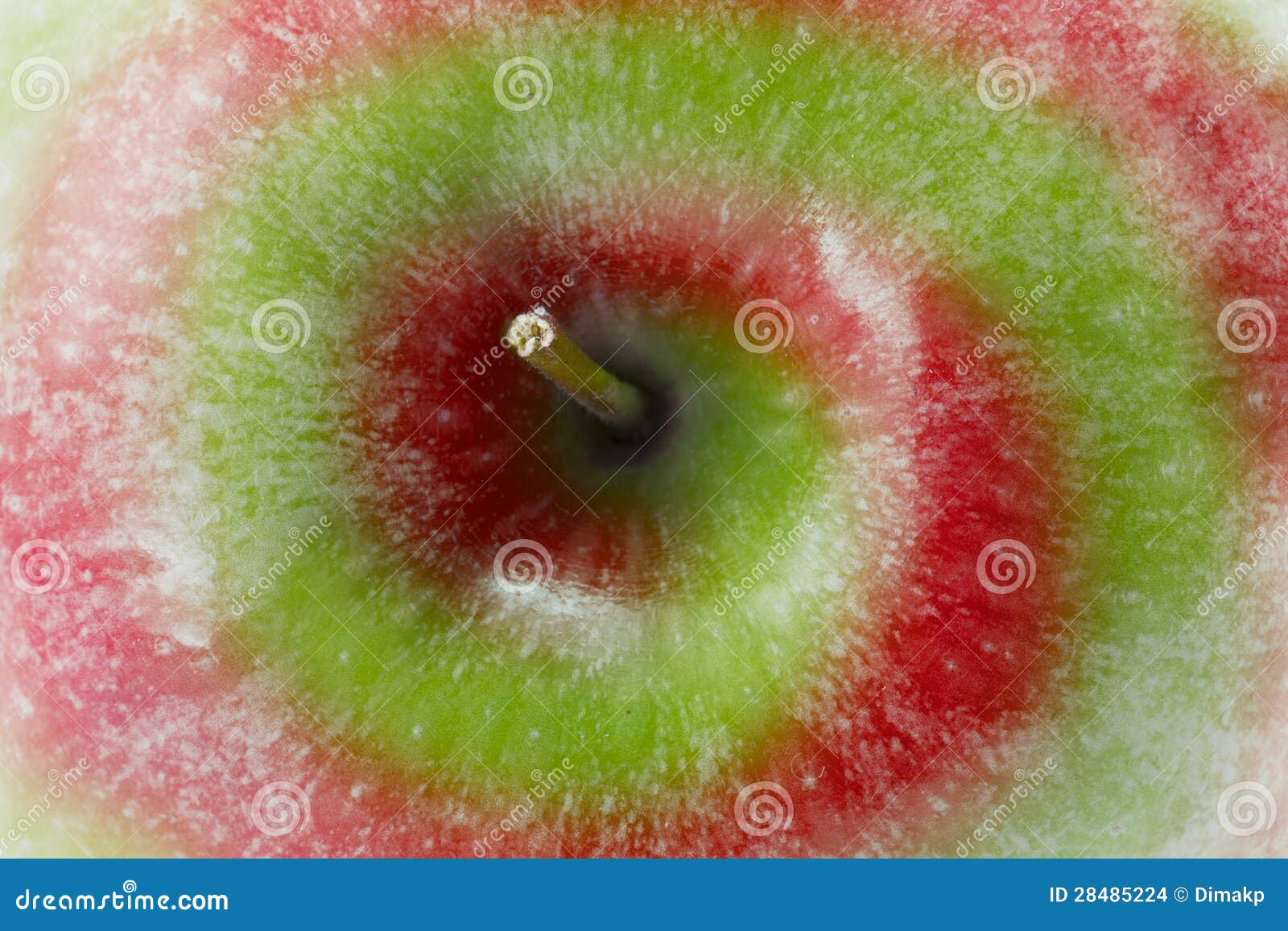 Apple close up stock photo. Image of food, delicious - 28485224
