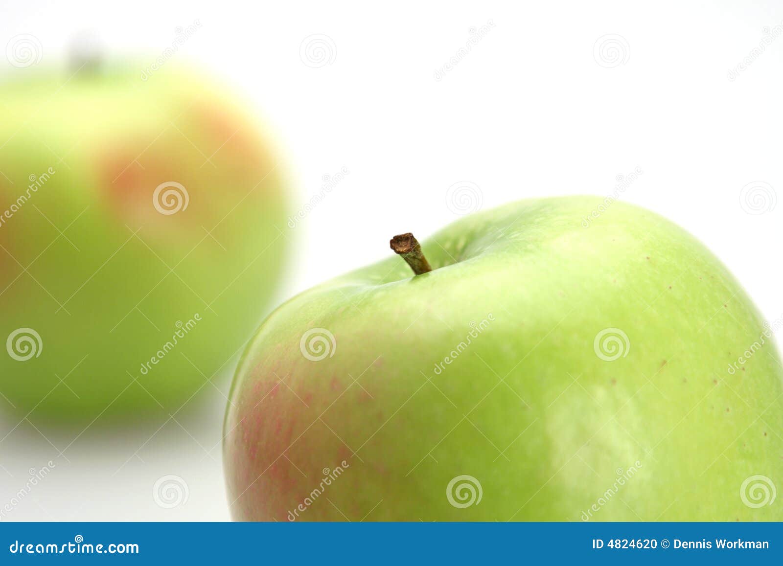 Apple Close-up stock photo. Image of calorie, group, apples - 4824620