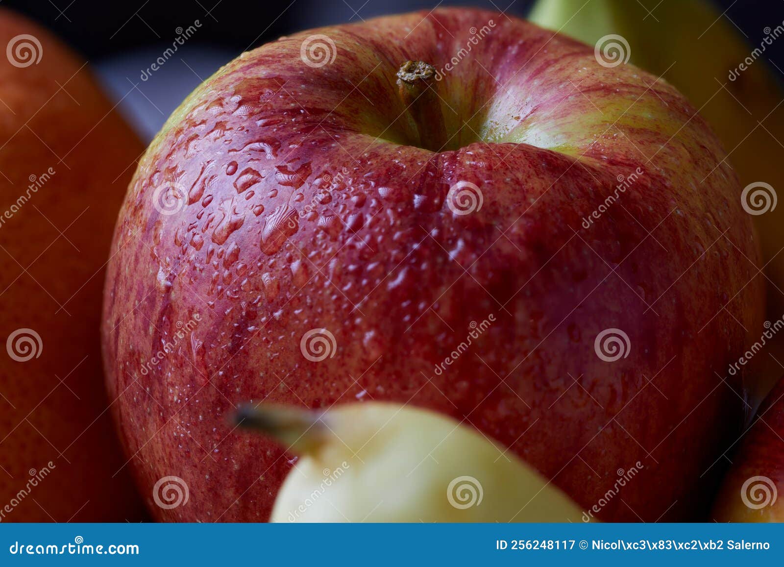 Apple close-up stock image. Image of fruit, nutrition - 256248117