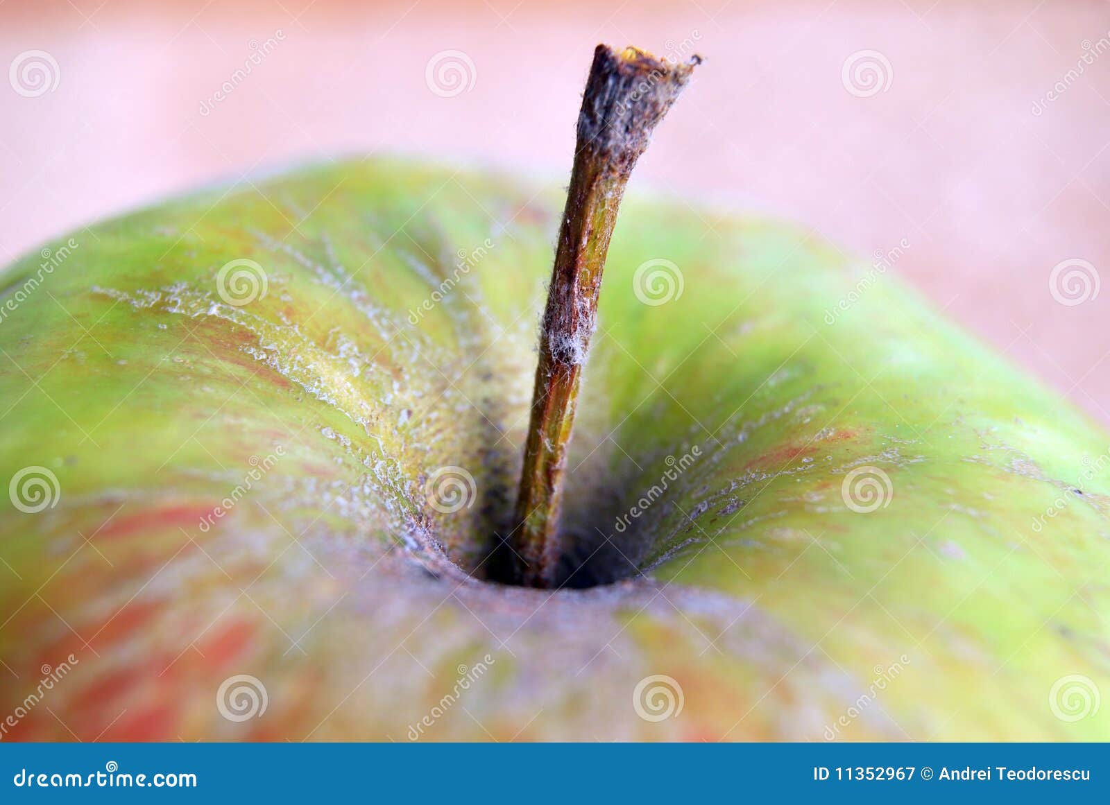 Apple closeup stock image. Image of closeup, food, nutrition - 11352967