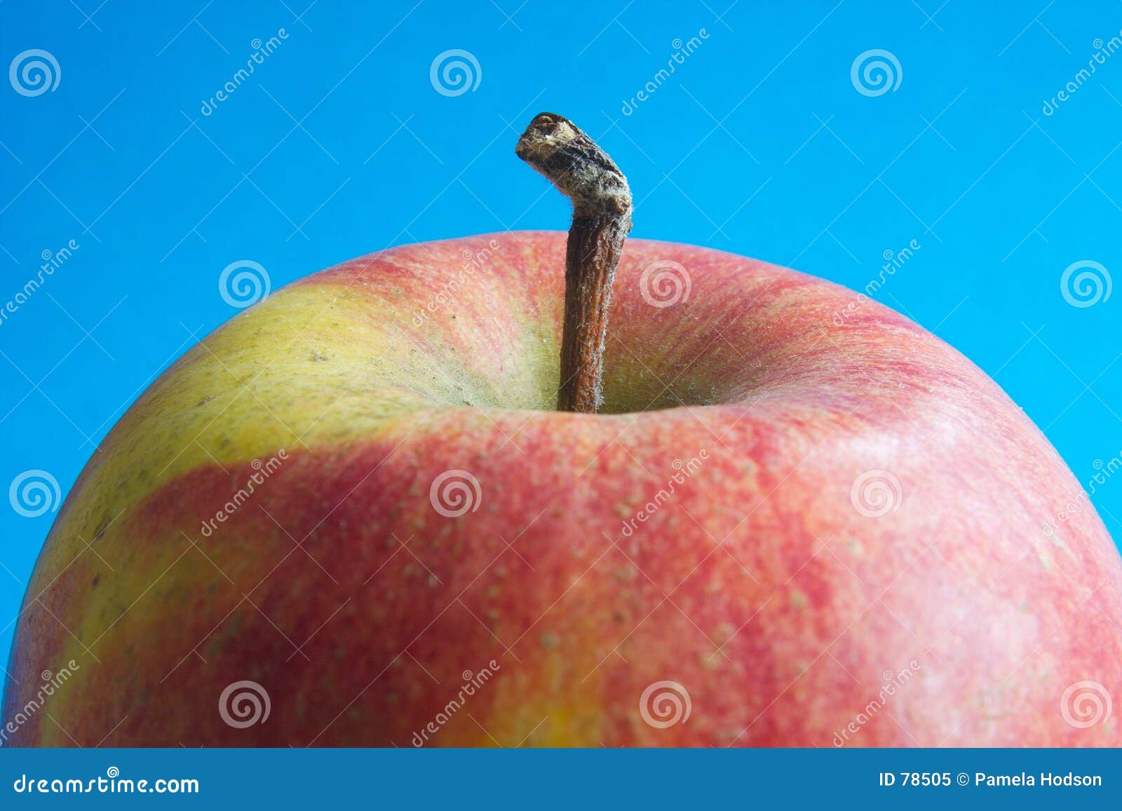 Apple closeup stock image. Image of closeup, nature, blue - 78505