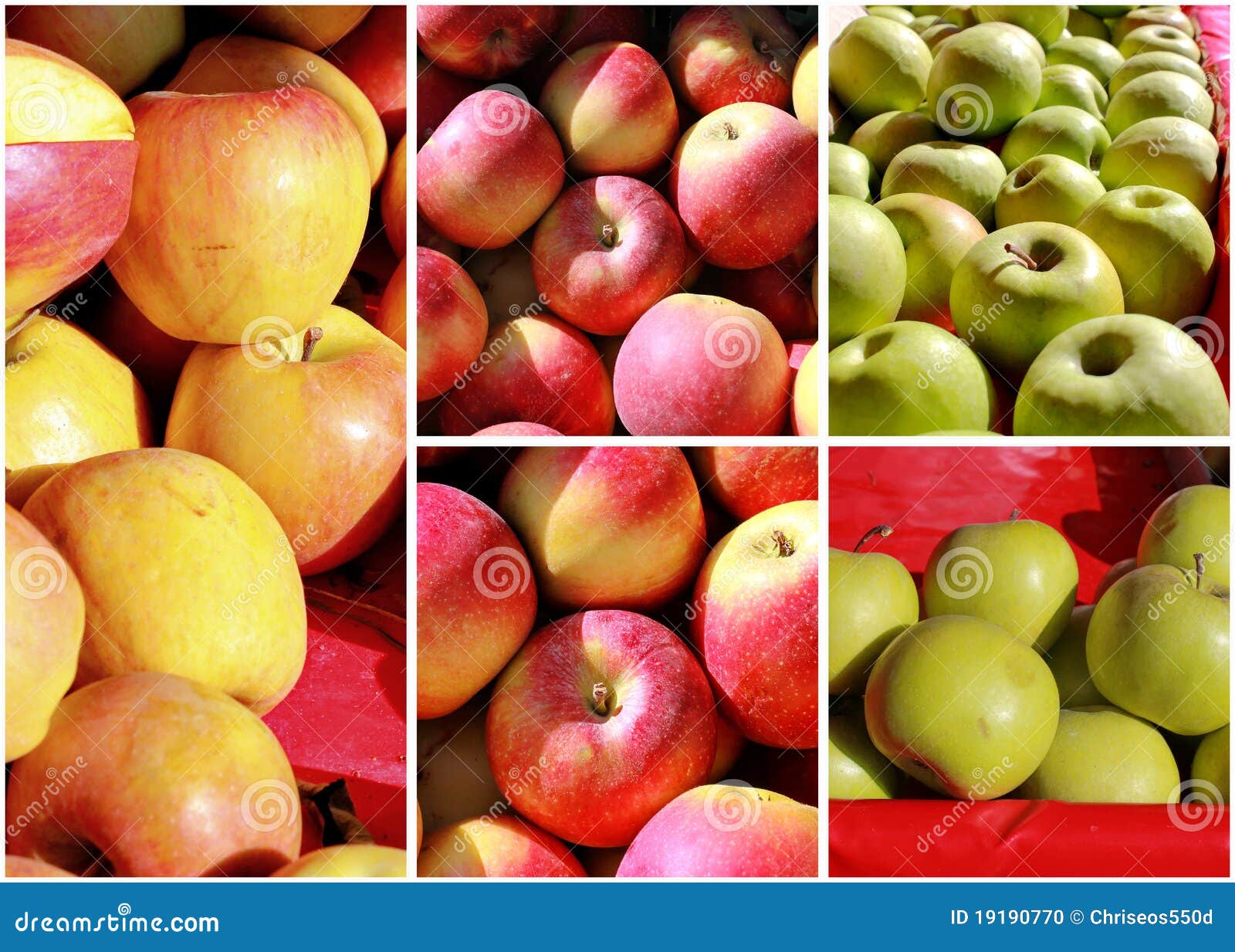 Apple collage stock photo. Image of green, juicy, delicious - 19190770
