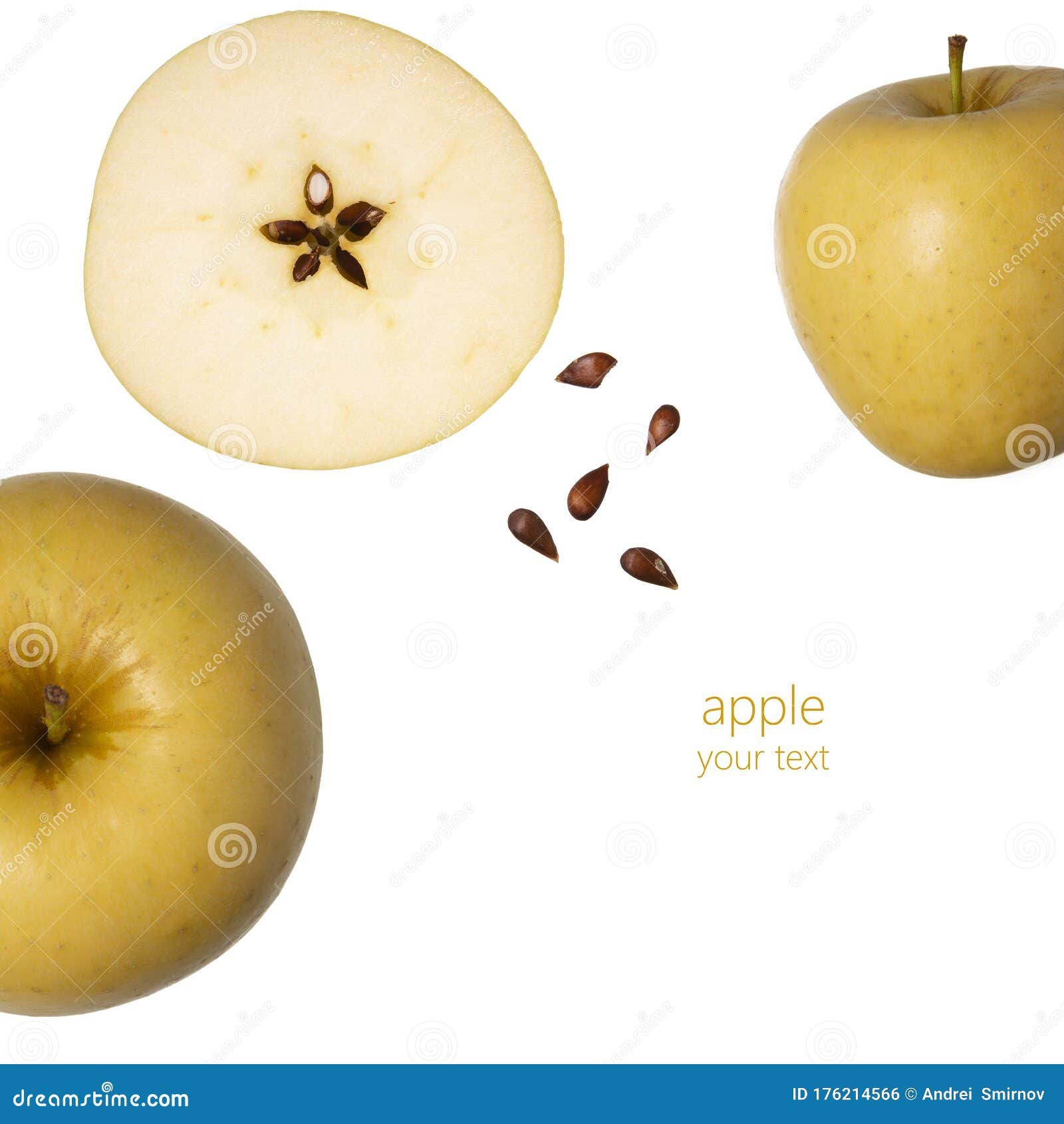 Apple stock photo. Image of plant, garden, healthy, juicy - 176214566