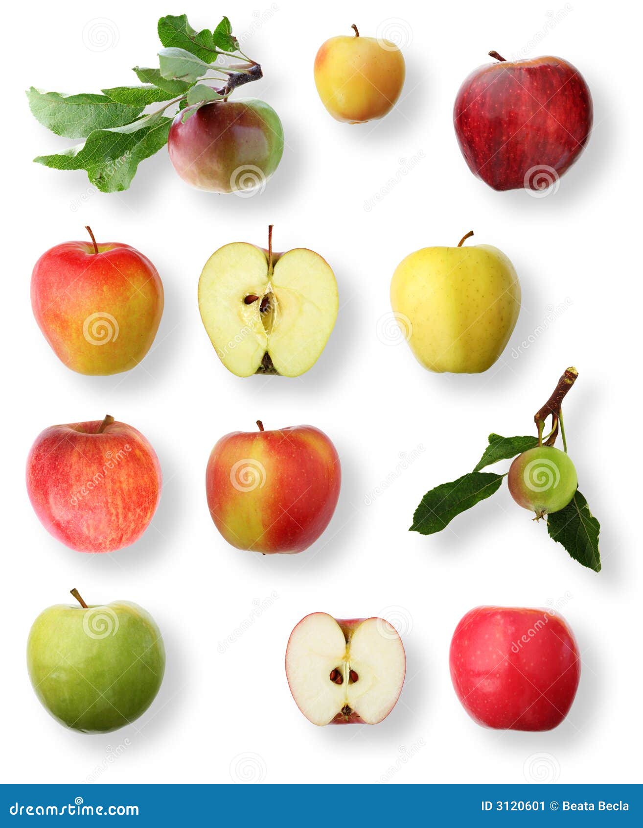 Apple collection stock image. Image of delicious, yellow - 3120601