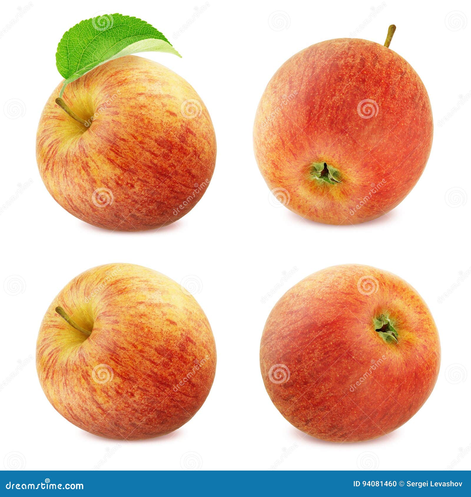 Apple Collection Isolated on White Background Stock Photo - Image of ...