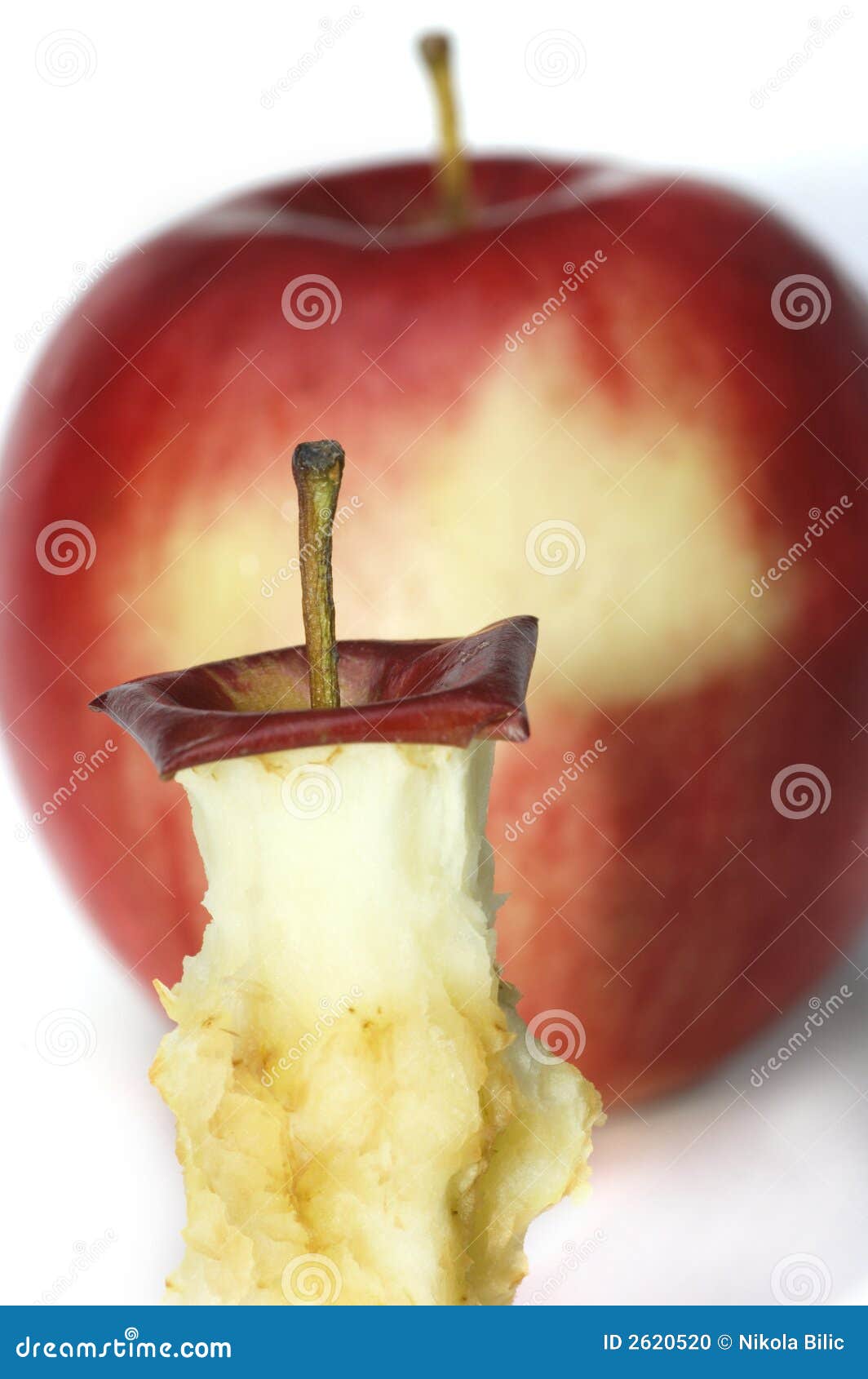 Apple Core stock photo. Image of still, food, core, health - 2620520