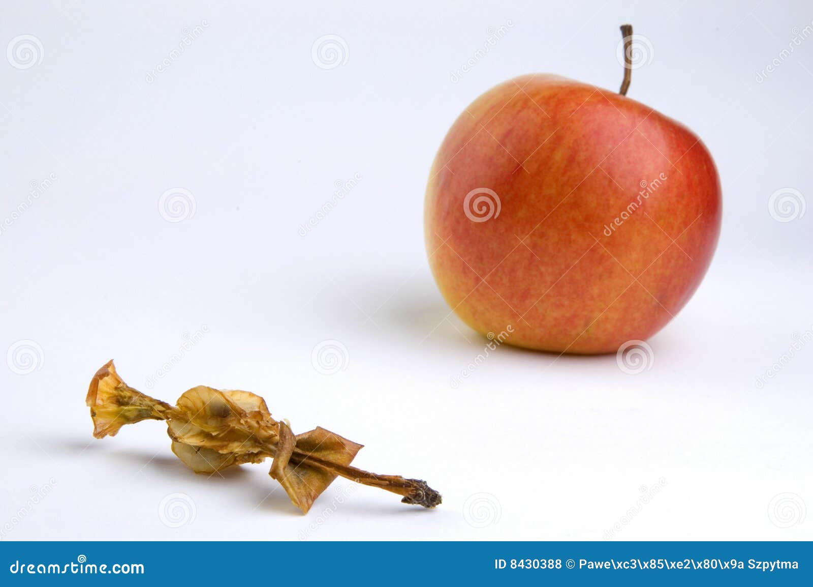 Apple core stock photo. Image of eaten, core, fresh, diet - 8430388
