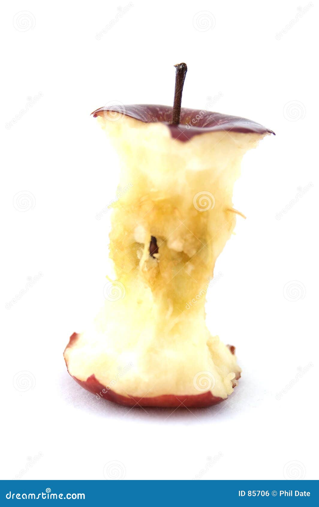 Apple Core stock photo. Image of form, cooking, white, round - 85706