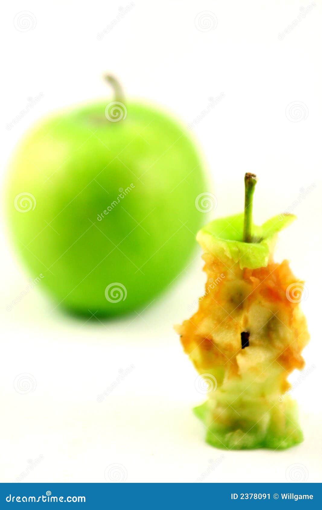 Apple and core of apple stock image. Image of isolated - 2378091