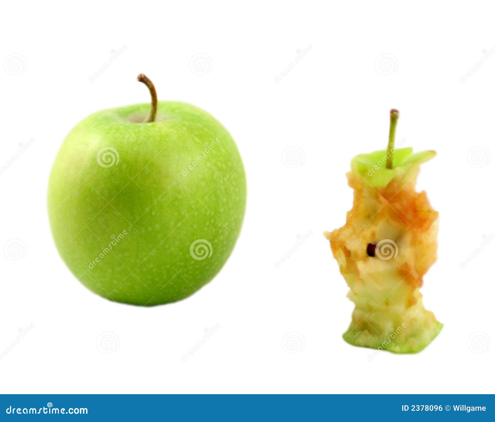 Apple and core of apple stock photo. Image of health, appetite - 2378096