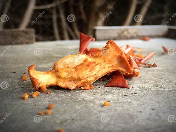 Apple core decomposing stock image. Image of table, brown - 60893049