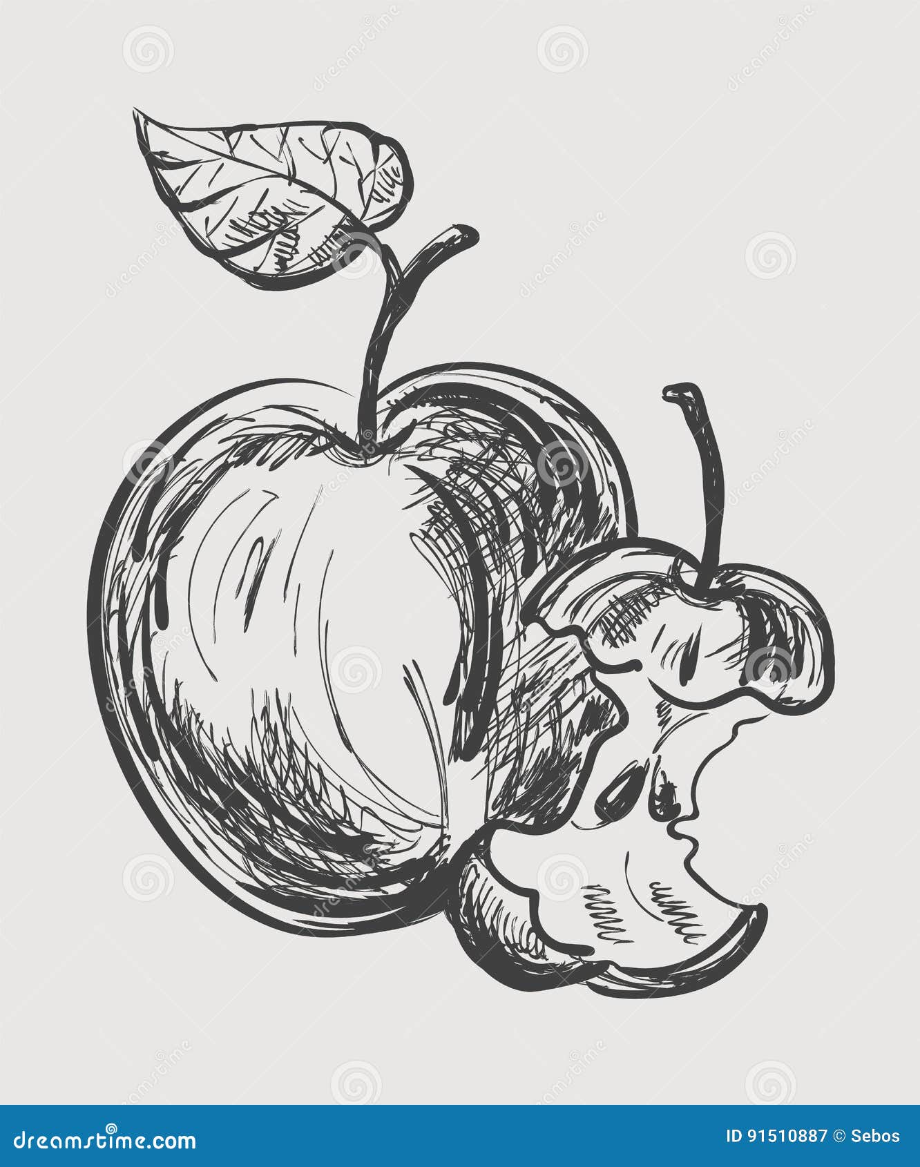 Apple Core Sketch