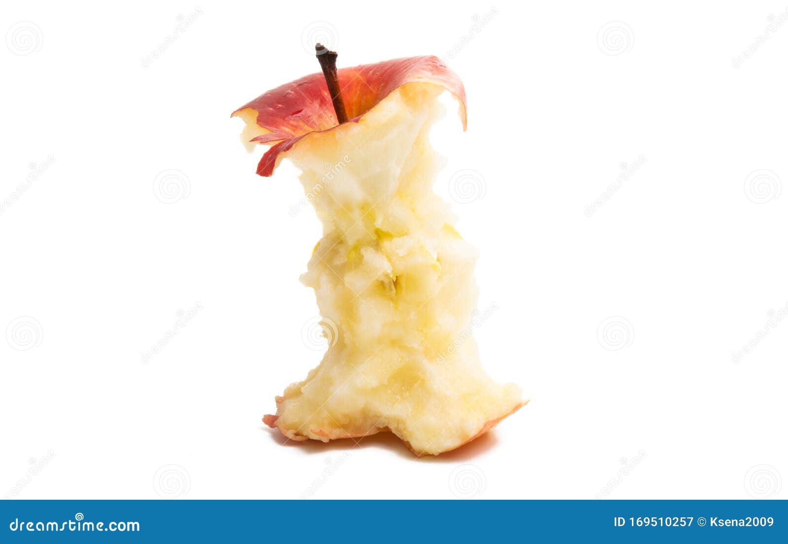Apple core isolated stock image. Image of studio, ripe - 169510257