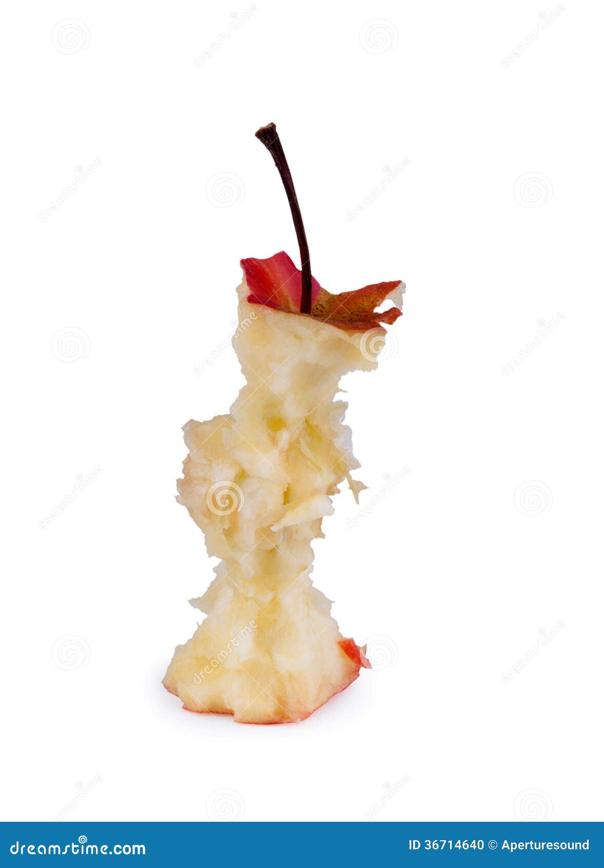 Apple Core Stock Photo - Image: 36714640