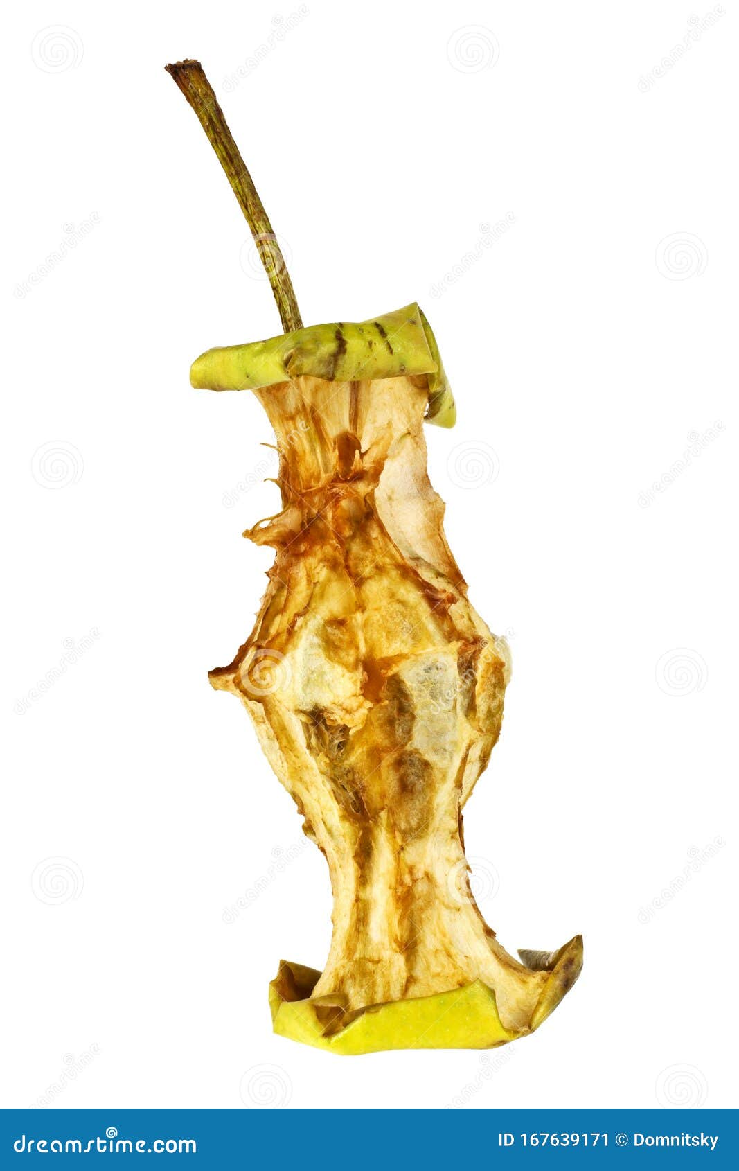 Apple Core on a White Background Stock Image - Image of cutout, green ...
