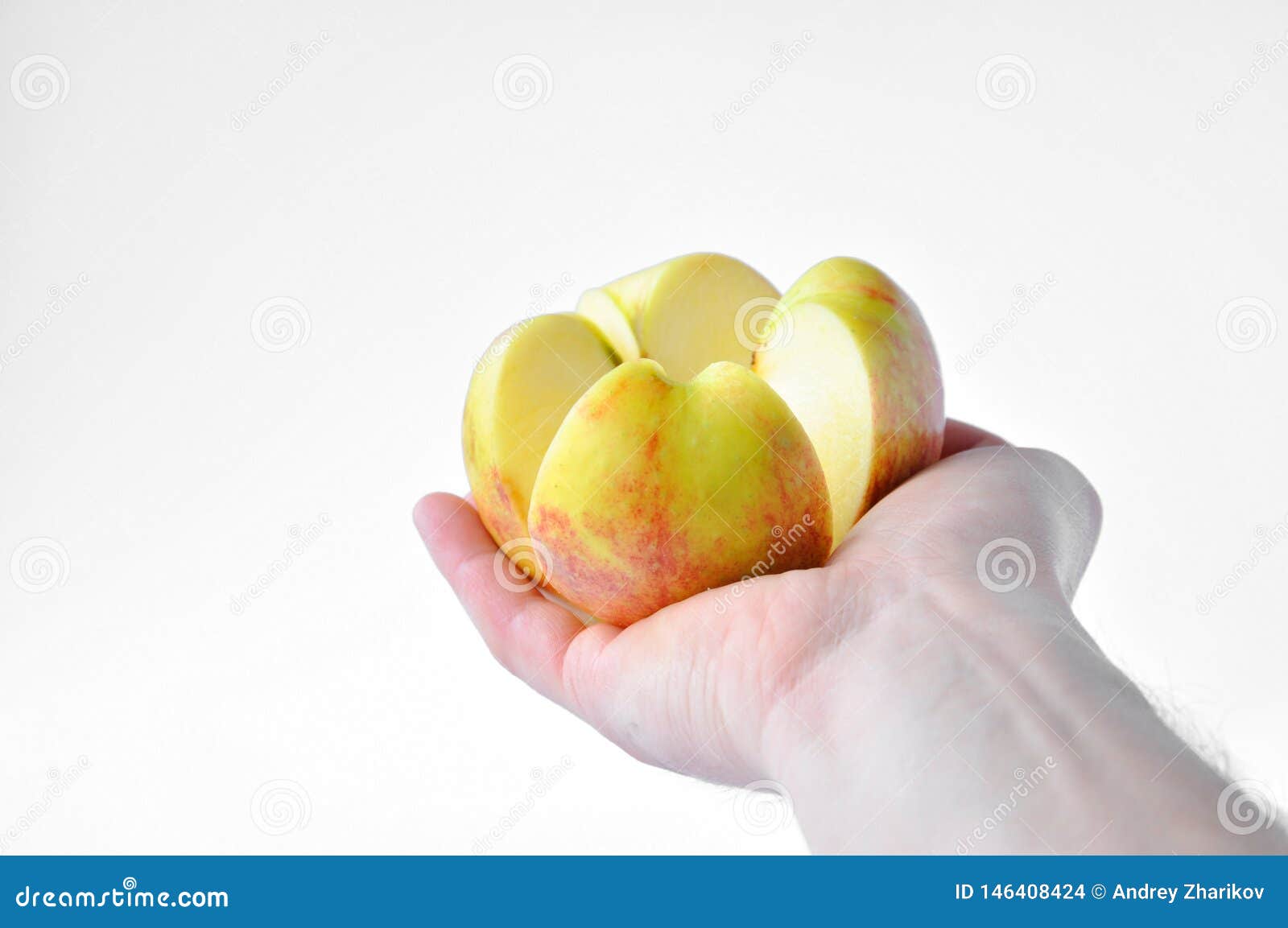 Cut apple in hand stock photo. Image of isolated, white - 146408424