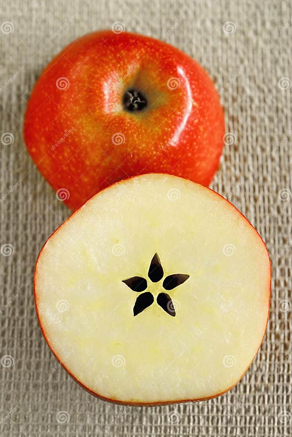 Apple cut in half stock photo. Image of fruit, apple - 23708054