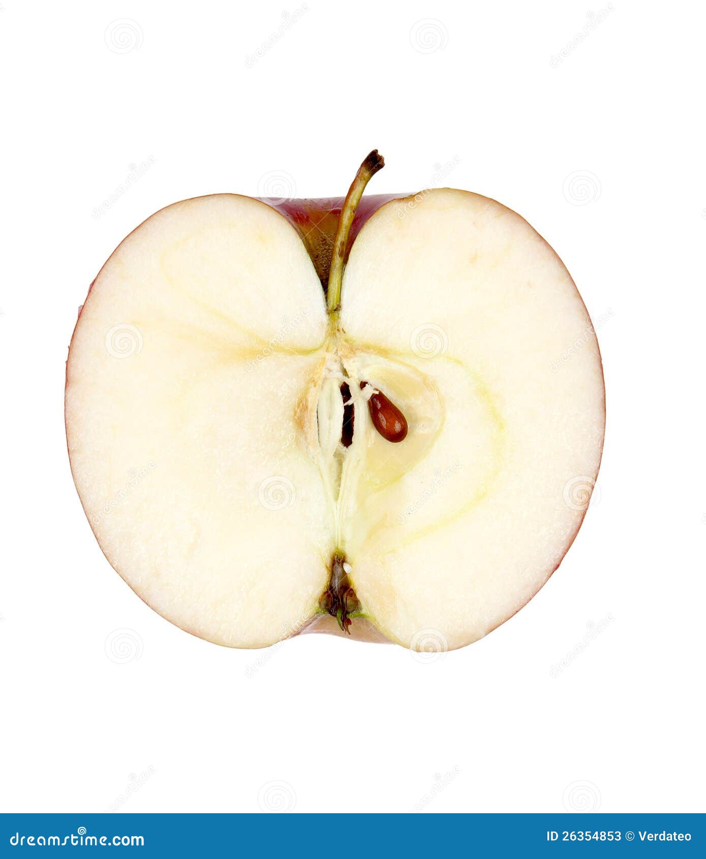 Apple cut in half clipart