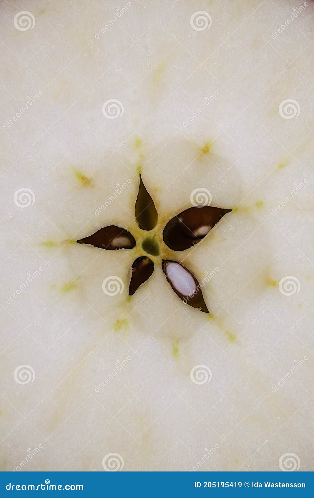 Apple Cut in the Middle Showing the Core Stock Image - Image of ...