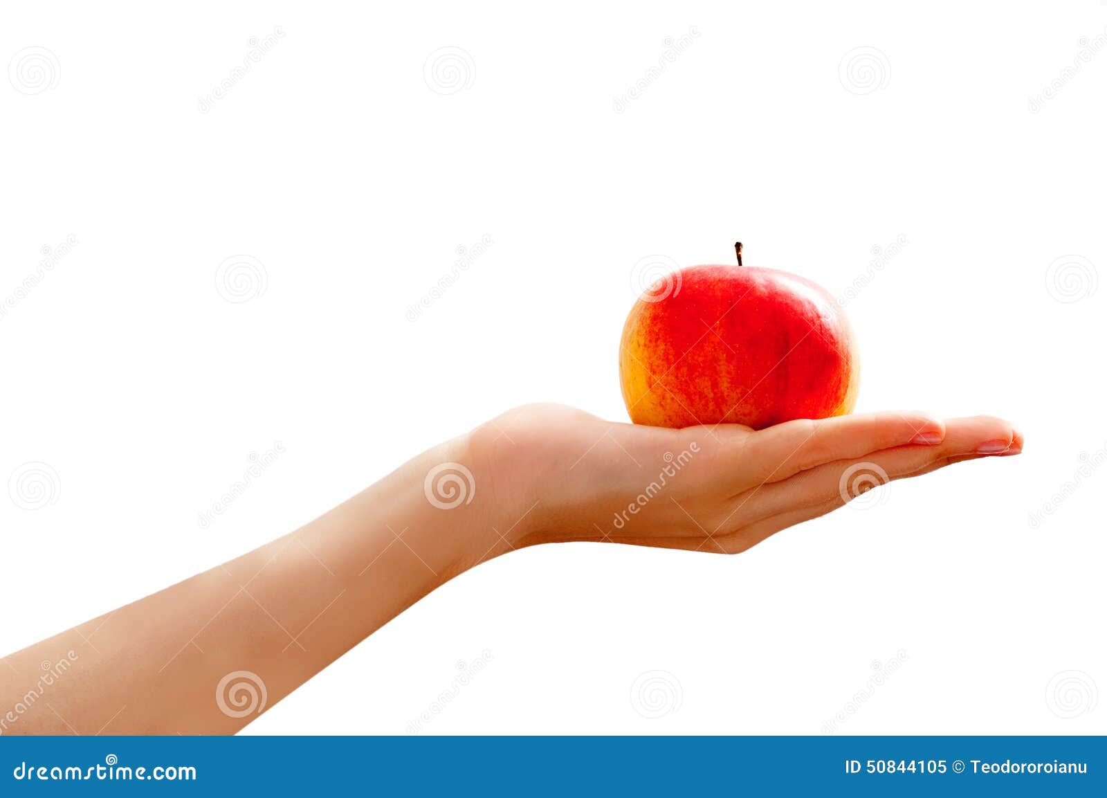 An apple a day stock image. Image of grown, food, locally - 50844105