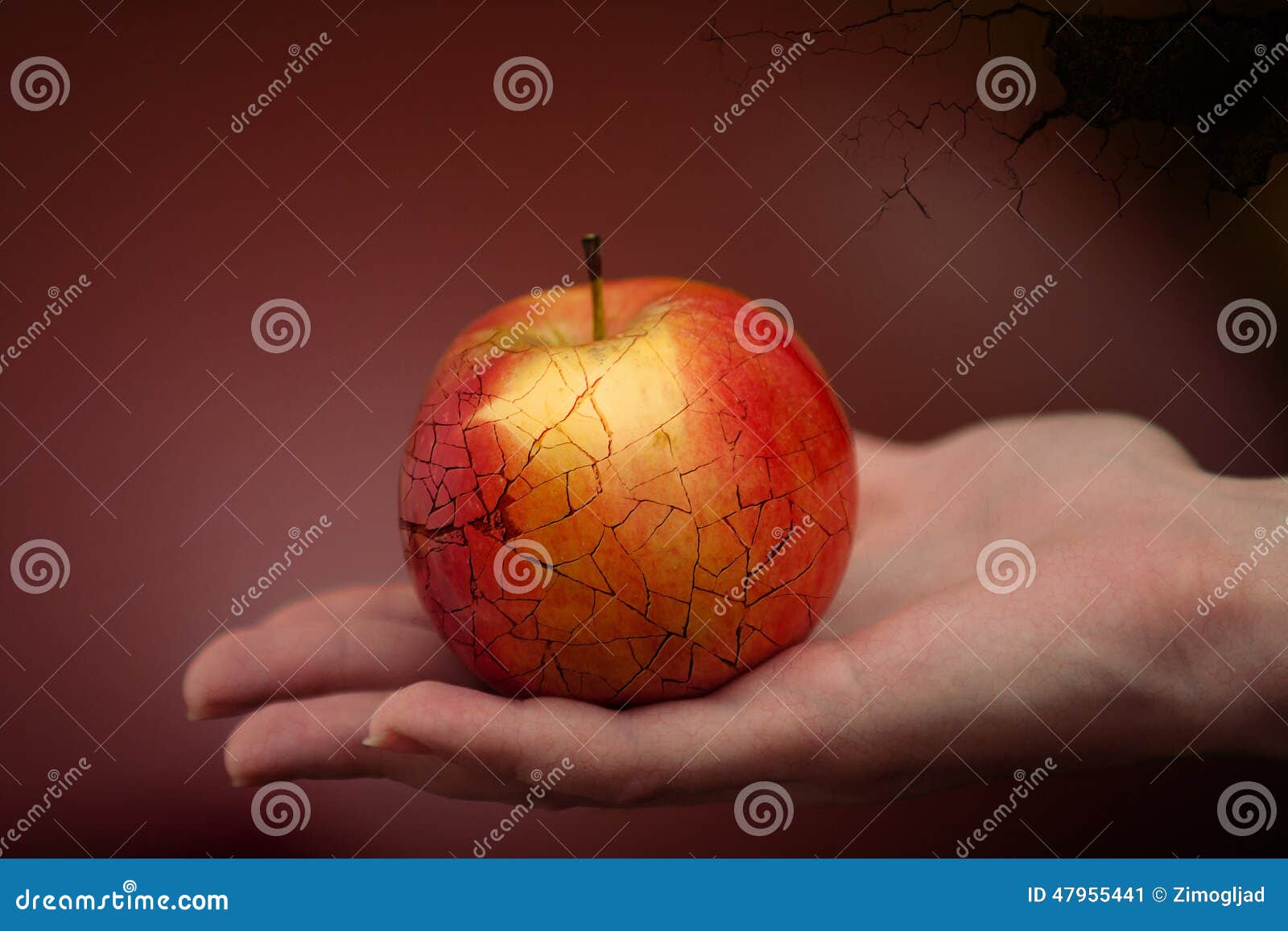 Apple de la discordia stock de ilustración. Ilustración de fruta - 47955441